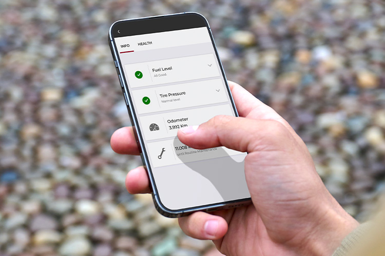 Alfa Romeo Giulia Quadrifoglio - Premium Sedan | Alfa Romeo UK